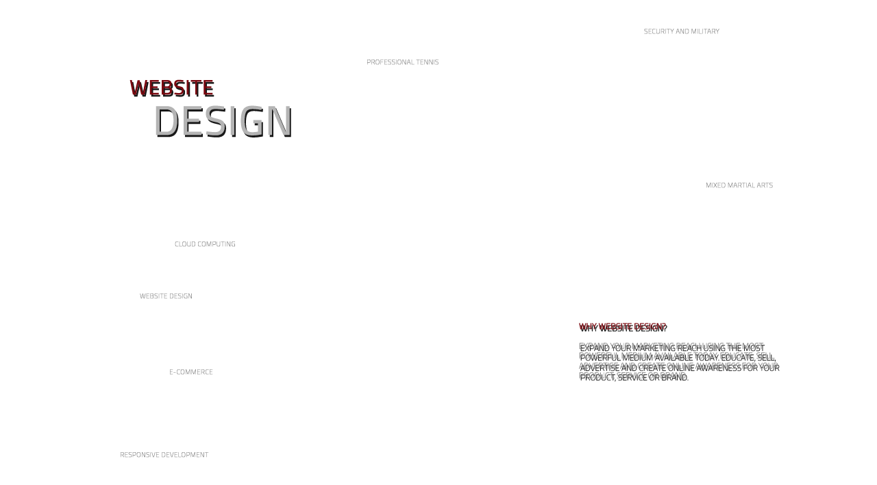 Website Design Services 